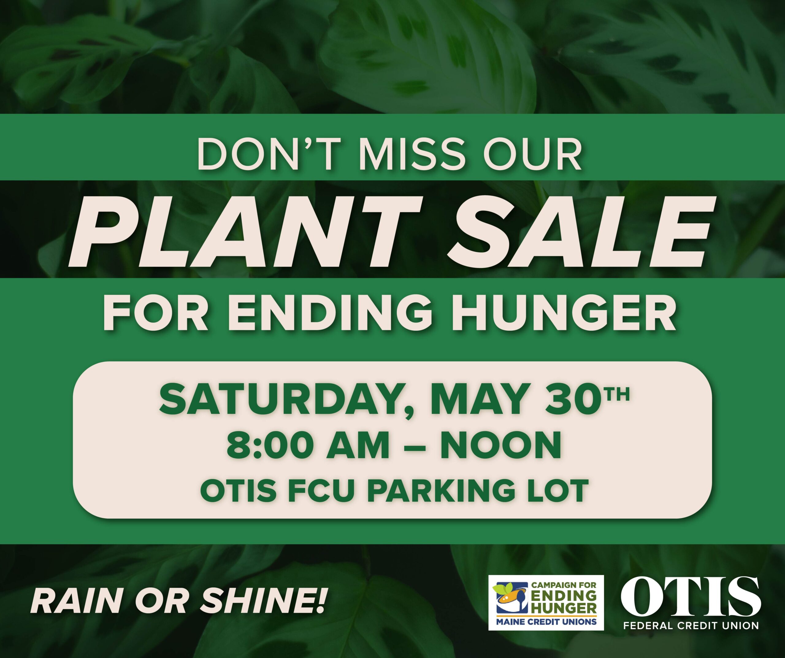 2026 Plant Sale & Planter Raffle for Ending Hunger | OTIS FCU